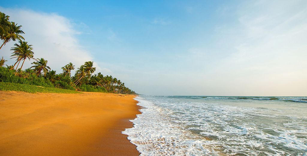 Taprobana Beach Hotel 4* - Wadduwa - Jusqu'à -70% | Voyage Privé