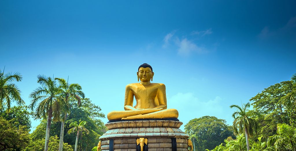 Circuit en groupe découverte de l'ex Ceylan - Colombo - Jusqu'à -70% ...