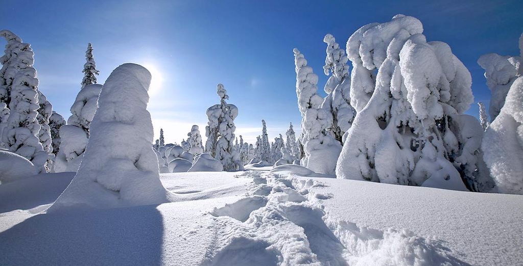 Alla scoperta della Lapponia in cottage con sauna e camino - Rovaniemi ...