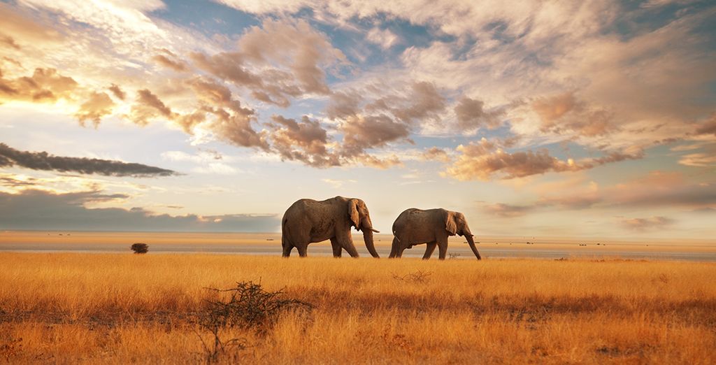 Highlights of Kenya - Mombasa - Up to 70% off | Voyage Privé