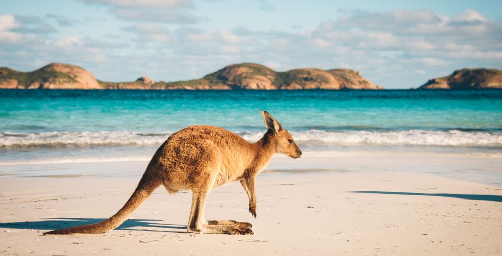 Circuitos por Australia: Guía Completa - Voyage Privé