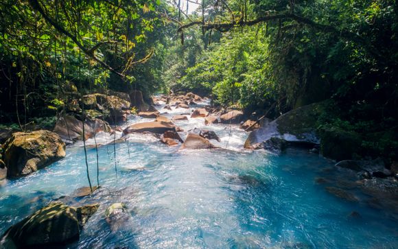 Costa Rica: las maravillas de la jungla en 12 noches - Costa Rica ...