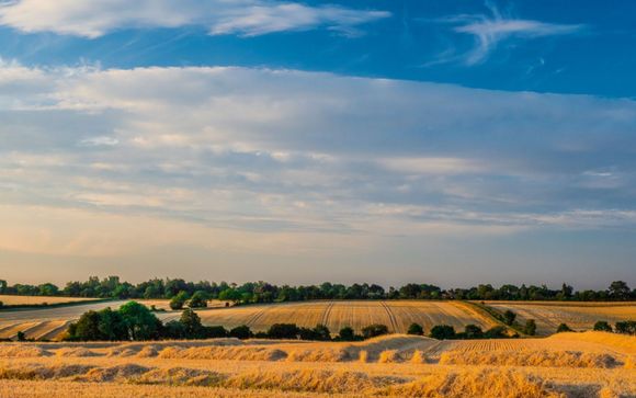 white clouds westleton